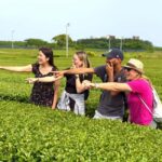 Jeju South: Small Group Healing Tour w/Mt.Halla & Olle Trail - Value and Overall Impression