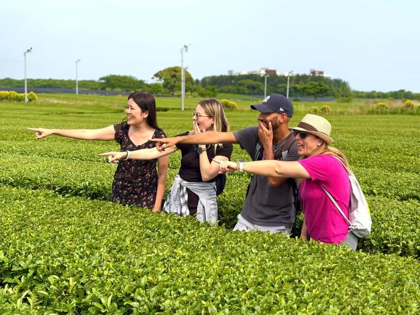 Jeju South: Small Group Healing Tour w/Mt.Halla & Olle Trail - Value and Overall Impression