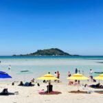 Jeju West: Small Group Healing Tour w/Caves & Dolphins - Practical Insights on the Tour