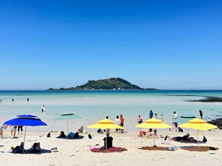 Jeju West: Small Group Healing Tour w/Caves & Dolphins - Practical Insights on the Tour