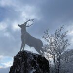 Jeju WEST&SOUTH One Day Tour with MT.halla & UNESCO - FAQ