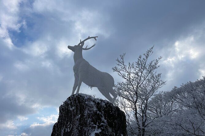 Jeju WEST&SOUTH One Day Tour with MT.halla & UNESCO - FAQ