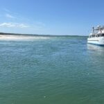 Jervis Bay and Shoalhaven South Coast NSW Private Tours - The Value for Travelers