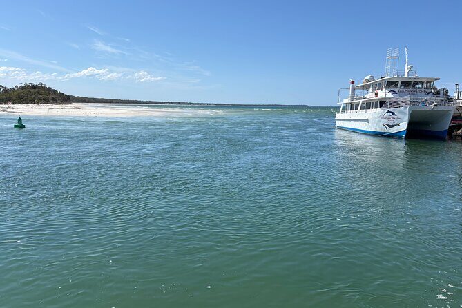 Jervis Bay and Shoalhaven South Coast NSW Private Tours - The Value for Travelers