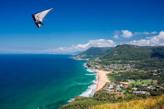 Jervis Bay Full Day Tour Dolphin Cruise and Kiama Blowhole - An In-Depth Look at the Tour Experience