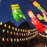 Jinju Namgang Yudeung Festival Bus tour from Busan - The Itinerary: What to Expect