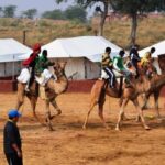 Jodhpur City Tour With Camel & Village Safari 2 Days - Final Thoughts