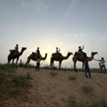 Jodhpur OvernightStay In Desert Rural Village With CamelRide - Practical Considerations and Value