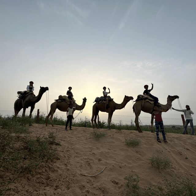 Jodhpur OvernightStay In Desert Rural Village With CamelRide - Practical Considerations and Value