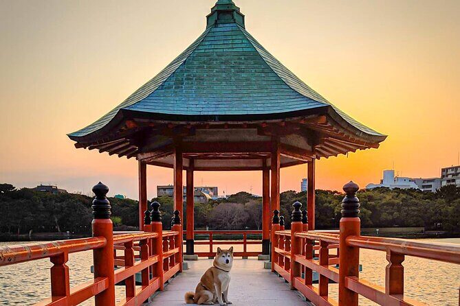 Join Fukuoka Adventure Friendly Tour with a Local Guide - An In-Depth Look at the Fukuoka Food Tour