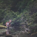 Kagoshima Private Customized Full Day Tour - Detailed Breakdown: What You Might Experience