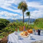 Kaikura: Small Group Tour- optional Whale, Dolphin, Zipline - Is This Tour Worth It?