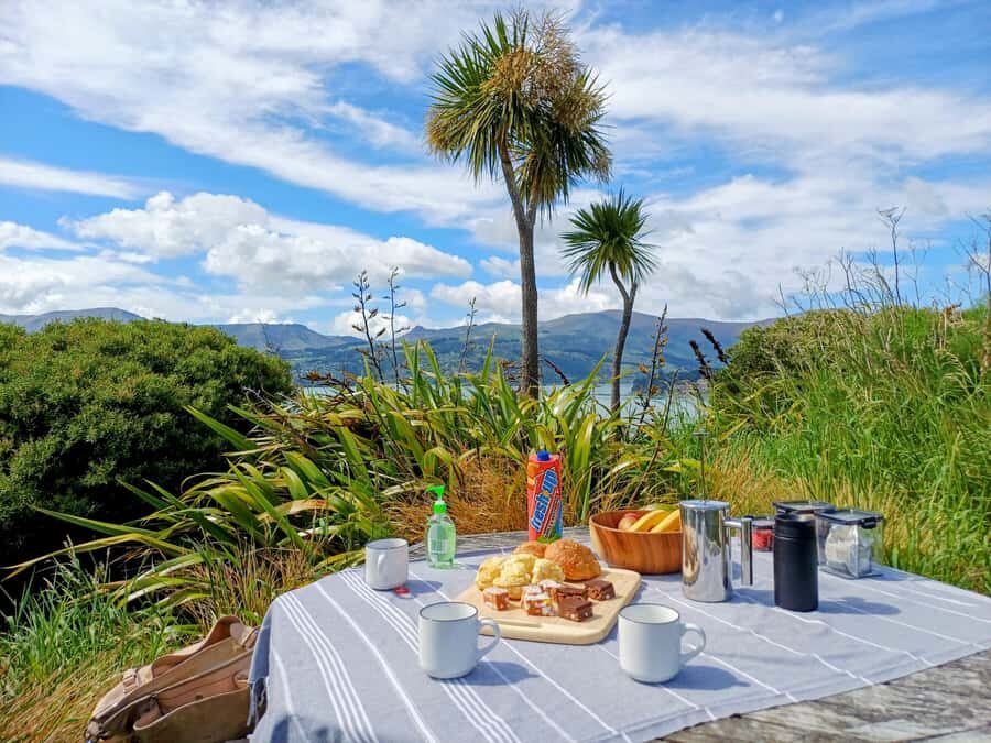 Kaikura: Small Group Tour- optional Whale, Dolphin, Zipline - Is This Tour Worth It?