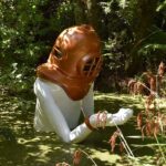 Kaipara Coast Sculpture Gardens Entry Ticket - Who Will Love This Experience?