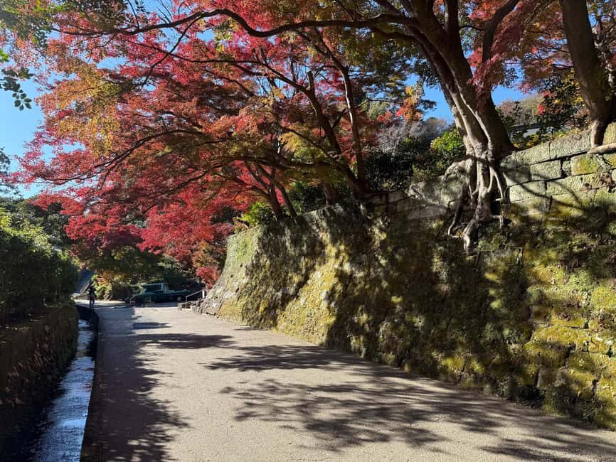 Kamakura: Customized Half-Day Tour with Professional Guide - The Sum Up
