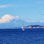 Kamakura Walking Tour and T-shirt Printing Experience - What Visitors Are Saying