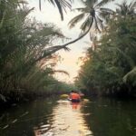 Kampot Pepper farm & Kayak trip around Green cathedral Sunse - Key Points