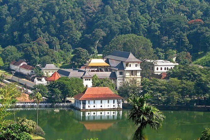 Kandy City Tour by Lux Tours Lanka - What Makes This Tour Stand Out?