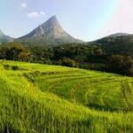 Kandy: Meemure Village Day Trip (Hidden Mountain Village) - What to Expect & Practical Tips