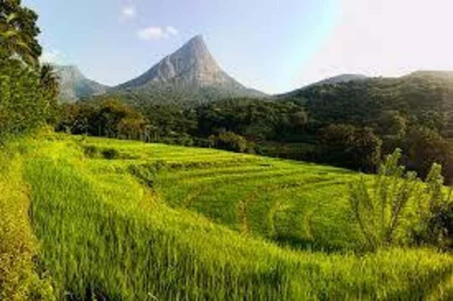 Kandy: Meemure Village Day Trip (Hidden Mountain Village) - What to Expect & Practical Tips