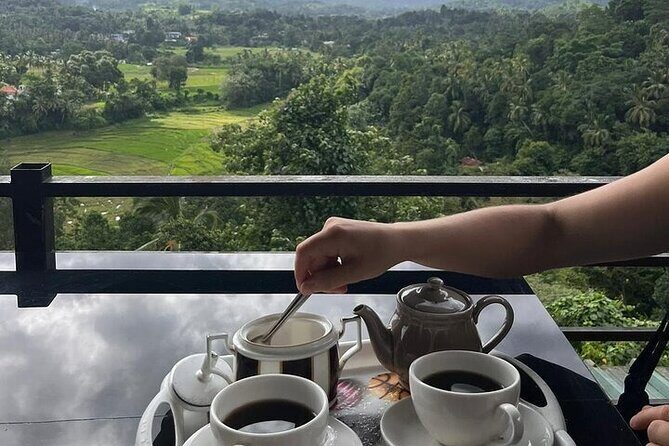 Kandy to Nuwara Eliya Private Day Tour: Tea Factory& Gregory Lake - Transportation and Comfort