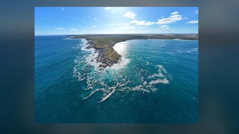 Kangaroo Island: Private 4WD Tour with Picnic Lunch - The Practicalities