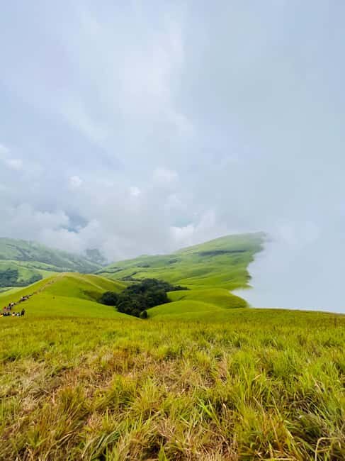 Karnataka: Western Ghats Trekking Adventure - An In-Depth Look at the Trekking Experience