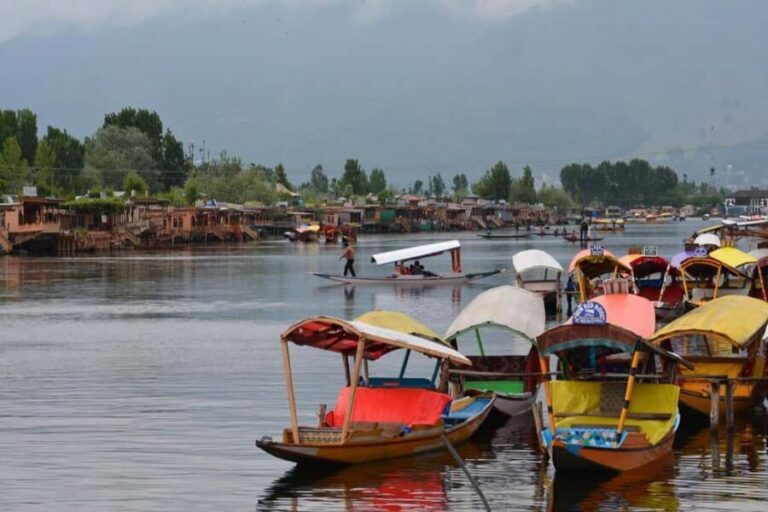 Kashmir Holiday Packages 4 Night 5 Days - Who Should Consider This Tour?