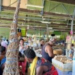 Kava Factory Tour and Flavored Kava Tasting Experience - A Close Look at What to Expect
