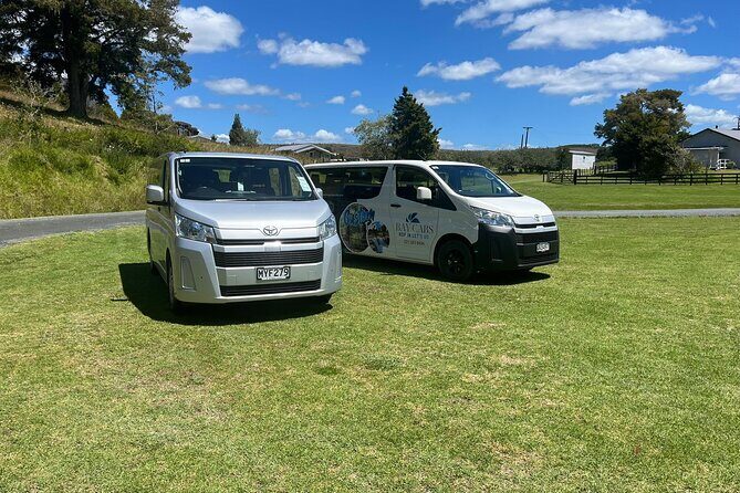 Kawiti Family Glowworm Caves Guided Tour in Bay of Islands - What to Expect from the Kawiti Family Glowworm Caves Tour