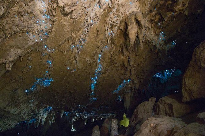 Kawiti Glow Worm Cave Tour & Opua Forest Walk - What’s Included and What’s Not