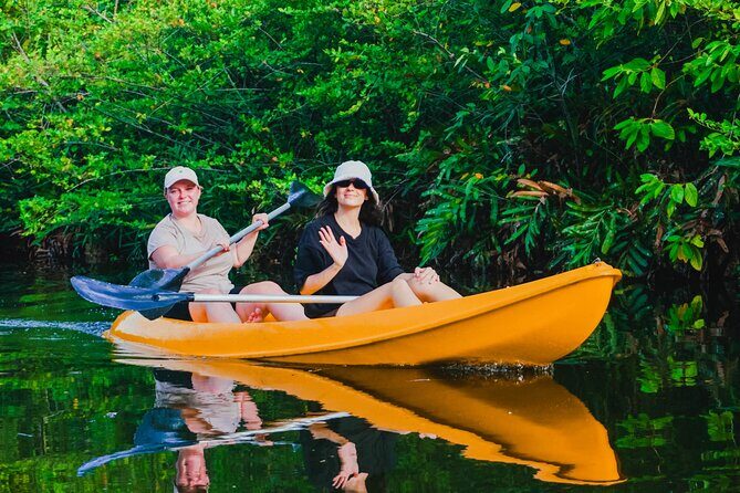Kayaking Adventure on serene waters through mangroves, Akurala - The Wildlife and Scenery