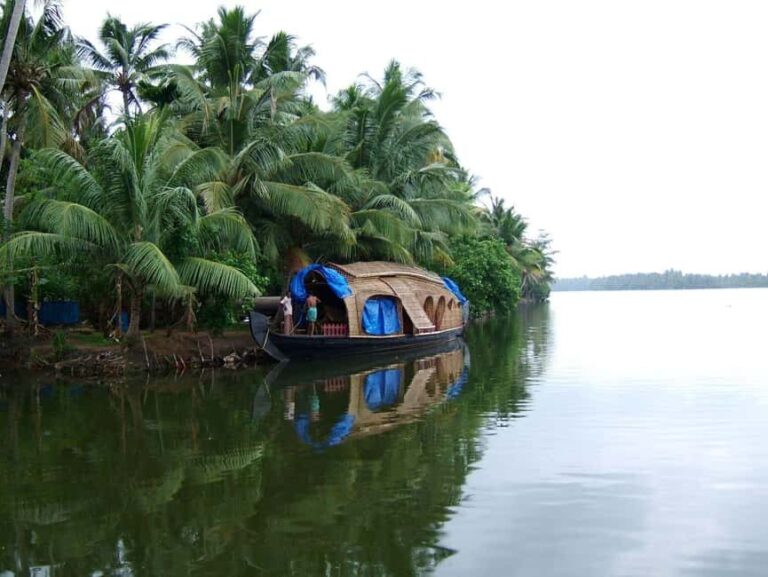Kerala Beauty, Cochin with Alleppey Houseboat Tour (03 Days) - What’s Included and Why It Matters