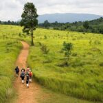 Khao Yai National Park Full Day - Authentic Experiences and Practical Insights