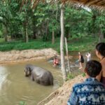 Khaolak: Elephant Sanctuary Guided Tour with Hotel Transfers - What’s the Value for Money?