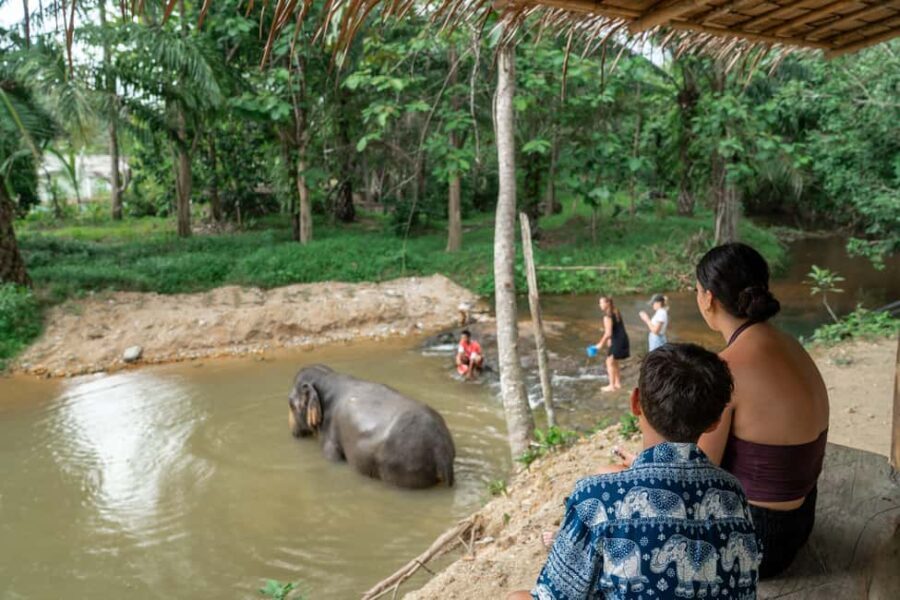 Khaolak: Elephant Sanctuary Guided Tour with Hotel Transfers - What’s the Value for Money?