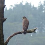 Knuckles Spice Trail Trek from Kandy - Transportation and Logistics