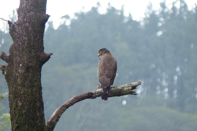 Knuckles Spice Trail Trek from Kandy - Transportation and Logistics