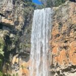 Koalas, 6 Springbrook Waterfalls and Natural Bridge Day Tour - The Sum Up