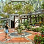 Kobe Guided Tour Nunobiki Waterfalls and Herb Garden - What Makes This Tour Stand Out