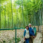 Kobe Shore Excursion: 1-Day Tour by Car to Kyoto, Osaka or Nara - The Experience: Comfort, Flexibility, and Local Insights