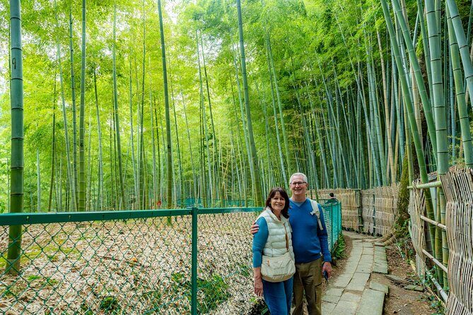 Kobe Shore Excursion: 1-Day Tour by Car to Kyoto, Osaka or Nara - The Experience: Comfort, Flexibility, and Local Insights