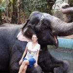 Kochi:- 03 Days Periyar Wildlife With Mararikulam Beach Tour - What Makes This Tour Worth It?