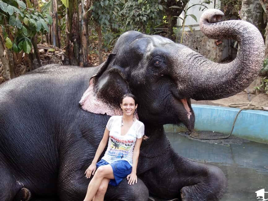 Kochi:- 03 Days Periyar Wildlife With Mararikulam Beach Tour - What Makes This Tour Worth It?