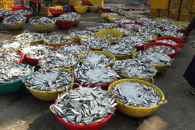 Kochi Fishing Village Excursion. - Understanding the Value