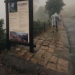 Kochi to Munnar: Eravikulam, Tea Estate and Waterfalls - Practical Tips for the Trip