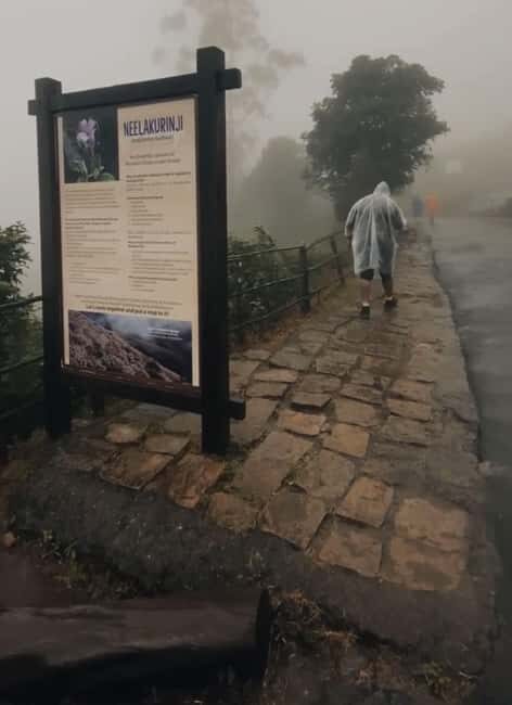 Kochi to Munnar: Eravikulam, Tea Estate and Waterfalls - Practical Tips for the Trip