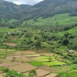 Kochi to Munnar Private Full Day Guided Tour With Hotel Pickup - The Itinerary Breakdown: Why It Works