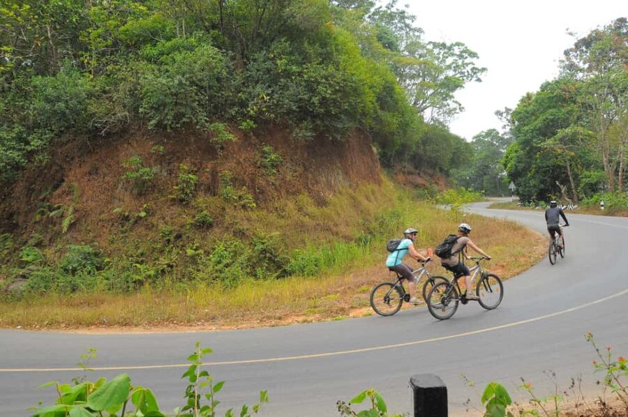 Kochi to Thattekkad - Who Should Consider This Tour?