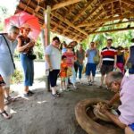 Kochi: Ultimate Kerala and Kumbalangi Village Same Day Tour - Why Choose This Tour?